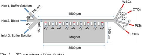 Figure 1 From A Combination Of Dielectrophoresis And Magnetophoresis