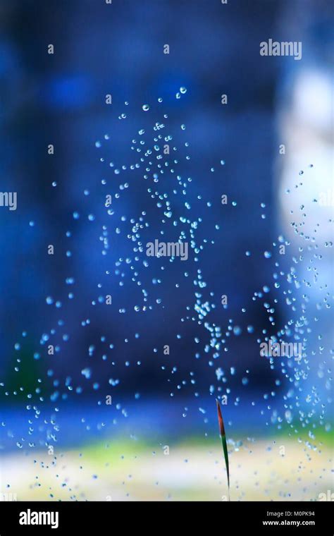 Wassertropfen Wasser Spritzer Mit Grünen Gras Bambus Hintergrund