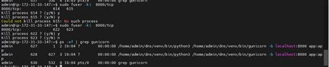 Gunicorn On Aws Ec2 Stack Overflow