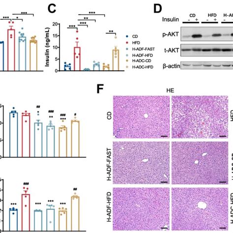 Rna Seq Data Analysis A Pca Score Plot Of The Gene Expression Data Download Scientific