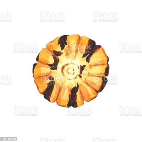 수채화 맛있는 얇게 썬 구운 옥수수 바베큐 손으로 그린 그림은 흰색 배경 클로즈업에 분리되어 있습니다 메뉴 카페 레스토랑 레시피 북 요리 바베큐에 딱 건강한 식생활에 대한