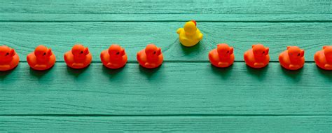 고무 오리 질서 줄 나무 색 색된 오리 그것은 청록색에 자신의 방향으로 선 다음 밖으로 이동의 다른 노란색 한 개에 이동의 나뭇결 배경 개념적으로 대표 하는 물 개성 개념에