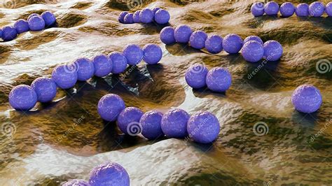 3d Rendering Of Streptococcus Bacterium Stock Illustration Illustration Of Medical Group