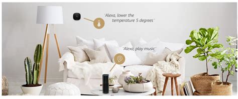 Amazon Hires Gadget Experts For Door To Door Smart Home Installs Taking On Best Buy S Geek