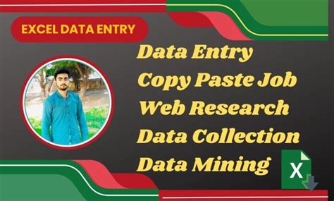 do excel data entry copy paste task web research data collection