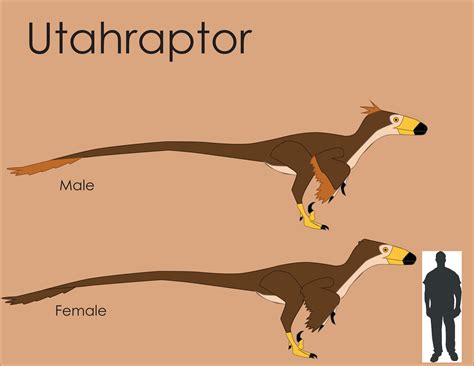 Megaraptor Vs Utahraptor