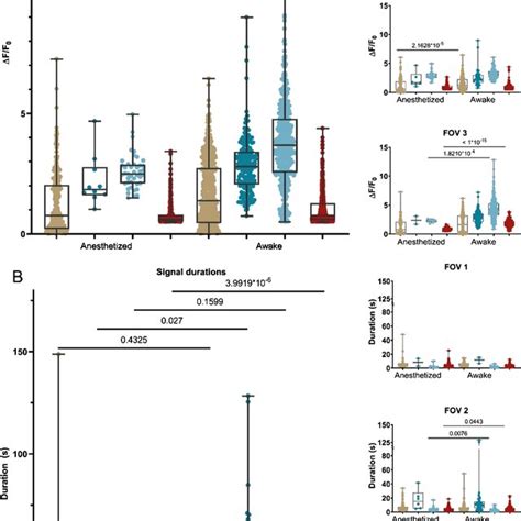 Temporal Correlationbased Roi Detection A Rois Obtained Using