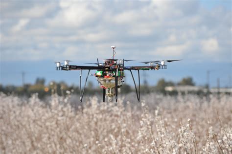 Discover The Newest Ai Solutions For Crop Pollination In Agriculture