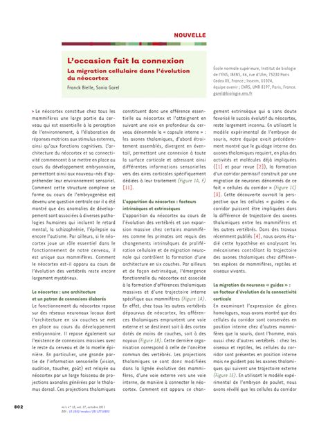 Pdf Connecting The Neocortex With Cell Migration During Development