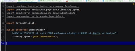 Mybatis Plus实现多表联查 白衣风云 博客园