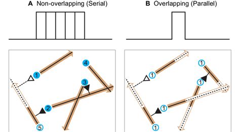 Simulation Setting Serial Versus Parallel Growth Serial Growth