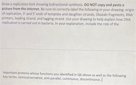 Solved Draw A Replication Fork Showing Bidirectional Synthesis Do