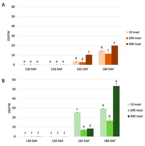 Schematic Representation Of The Main Step In The Anthocyanin Download Scientific Diagram