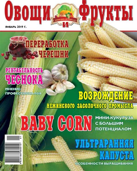 Журнал №1 2019 года Овощи и Фрукты журнал