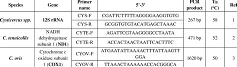 Cysticercus Spp Pcr Detection Primers Download Scientific Diagram