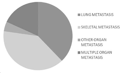 Sites Of Distant Metastasis In Thyroid Malignancies Download Scientific Diagram