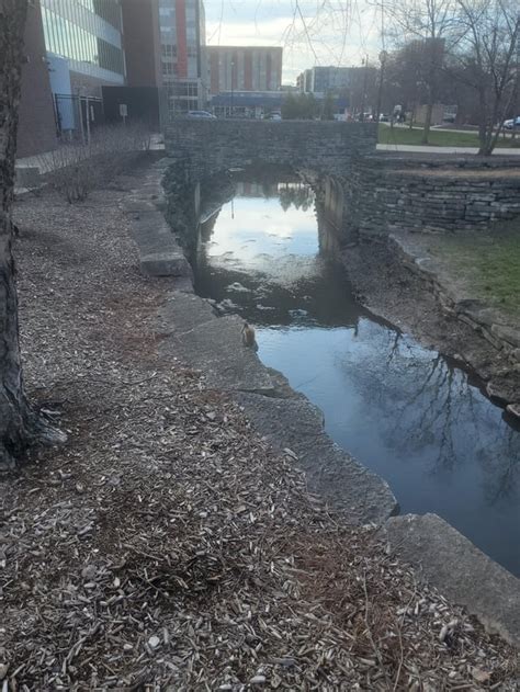 Bus😫😫😫😫😫😫😫 R Uiuc