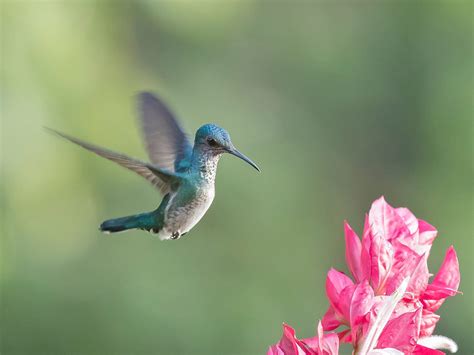 Killamarsh Amateur Photographic Society Sheffield