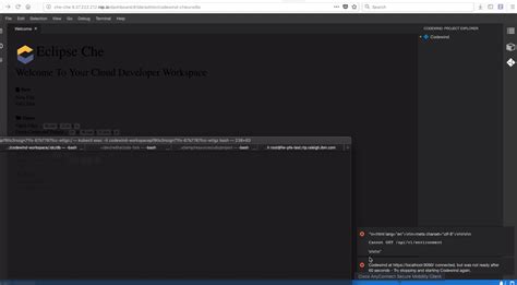 Codewind Theia Extension Stuck In Starting On Che · Issue 657