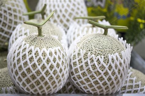 멜론 메론 과일 식물 상품 사진이미지일러스트캘리그라피 Natsu U작가 멜론 메론 과일 식물 상품 사진이미지일러스트캘리그라피 Natsu U작가