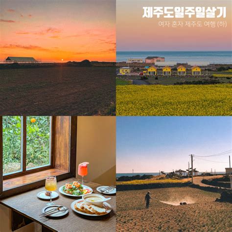 여자 혼자 제주도 여행 제주 뚜벅이 여행 하 네이버 블로그