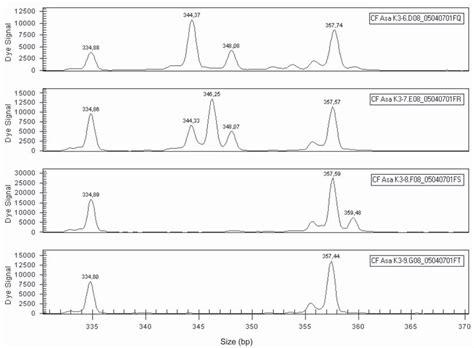Electropherograms Of Four Samples Showing Different Fragment Patterns