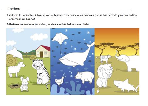 Preescolar A Iii Periodo Proyecto De Aula Mundo Animal