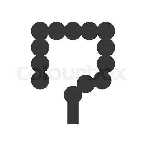 Stockfoto über Anatomie Pflege Dickdarm Colourbox