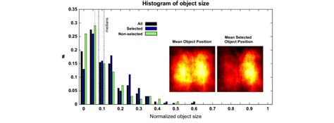 Histogram Of The Normalized Object Sizes Object Size Over Image Size Download Scientific