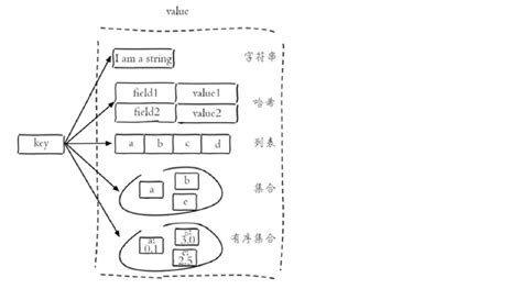 苍穹外卖day5 Redis实现 】 Csdn博客