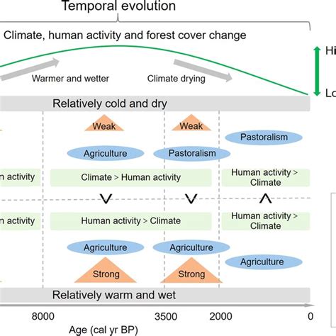 Model Of The Temporal And Spatial Evolution Of 12000 Years Forest