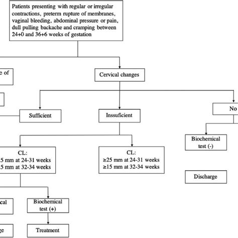 Diagnostic Protocol For Threatened Preterm Labor In Cruces University Download Scientific