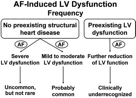Atrial Fibrillation And Ventricular Dysfunction Circulation