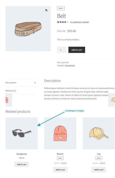 Types Of WooCommerce Issues How To Fix Them WP Swings
