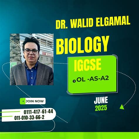 Dr Walid Abbas