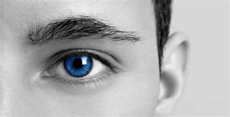 How To Know If You Are Right Brained Or Left Brained