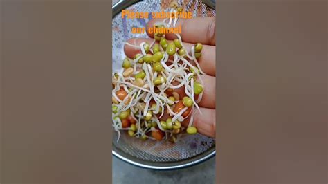 Sprouts 🌱 Short Youtubeshort Sprouts Youtube