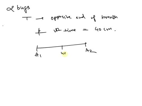 solved two bugs are running back and forth along a straight branch at