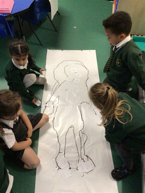 Rshe Heads Shoulders Knees And Toes Ss John And Monica Catholic