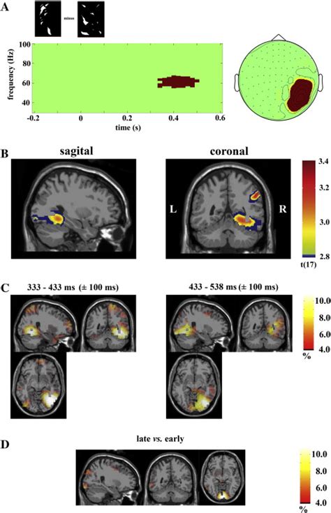 Permutation Statistics In Sensor And Source Space Time Frequency Plot Download Scientific