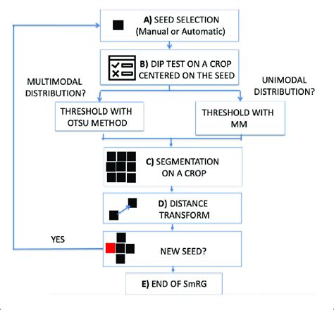 Workflow Of The Smrg A Manual Or Automatic Seed Selection B Dip Download Scientific