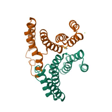 Rcsb Pdb 7pef Crystal Structure Of Ipgc In Complex With Dmso