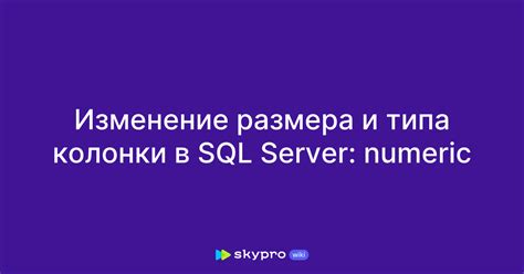 Изменение размера и типа колонки в Sql Server Numeric