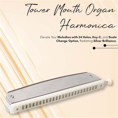 Tower 24 Holes Key C Scale Chromatic Harmonica