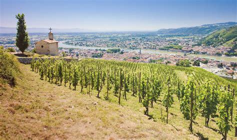 Rhone Valley Wine Region Guide