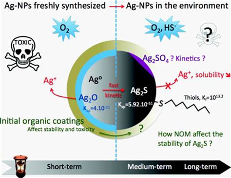 Figure 2 From What Does Nanoparticle Stability Mean Semantic Scholar