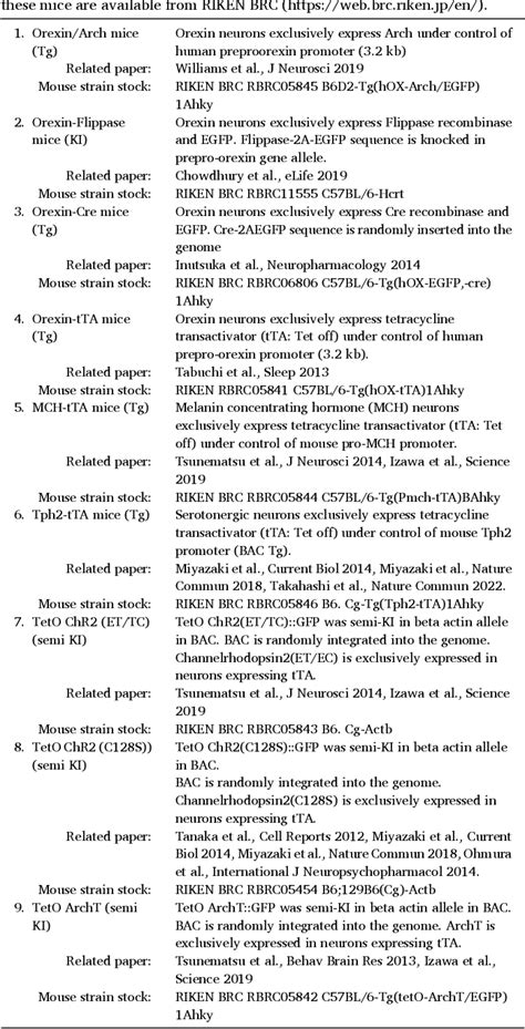 Table 1 From The Role Of Orexin Neuron Activity In Sleepwakefulness