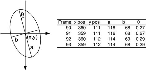 Sample Blob Measurements And Blob Data Download High Quality Scientific Diagram