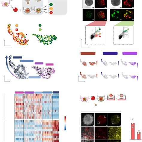 Holger Heyn Team Leader Phd Single Cell Genomics Research Profile