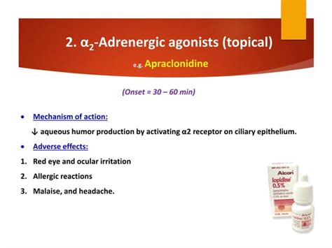 Drug Therapy Of Glaucoma Ppt